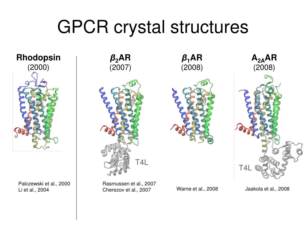 PPT - Ron Dror, Daniel Arlow, David Borhani, Morten Jensen, Stefano ...