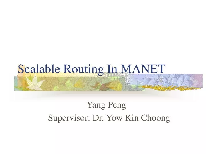 PPT - Scalable Routing In MANET PowerPoint Presentation, free download ...