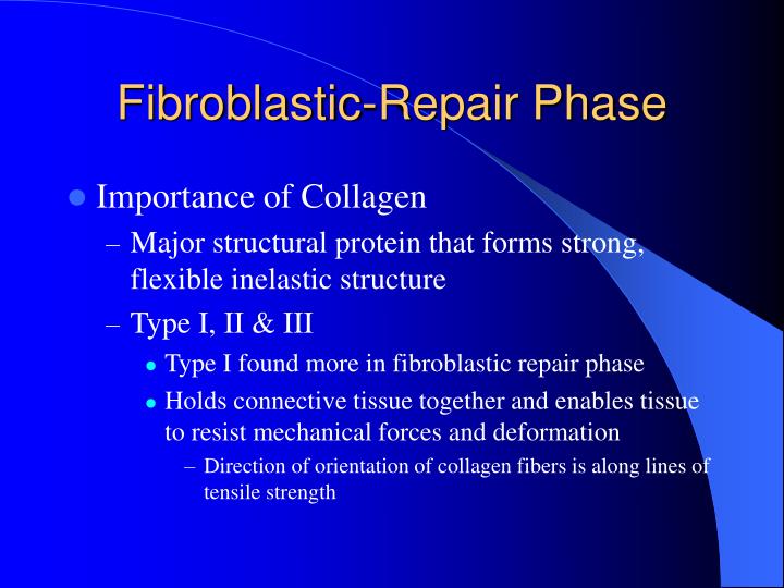 PPT - Understanding and Managing Healing Process through Rehabilitation ...