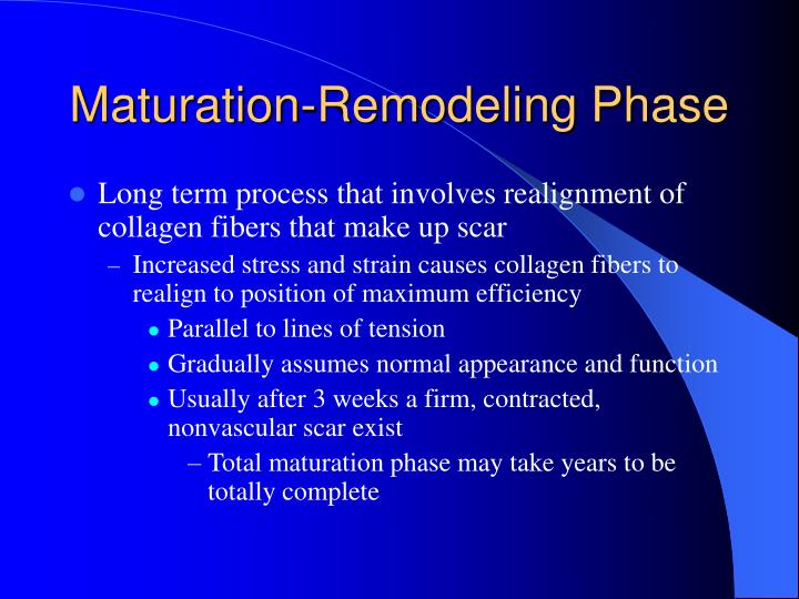 PPT - Understanding and Managing Healing Process through Rehabilitation ...