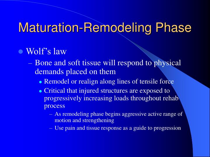PPT - Understanding and Managing Healing Process through Rehabilitation ...