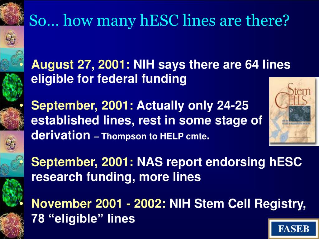 PPT - The Seven Year Itch: Human Embryonic Stem Cell Policy PowerPoint ...