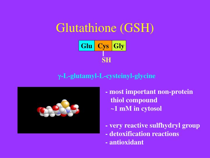 PPT - Glutathione S-transferase isoenzymes in plant defense reactions ...
