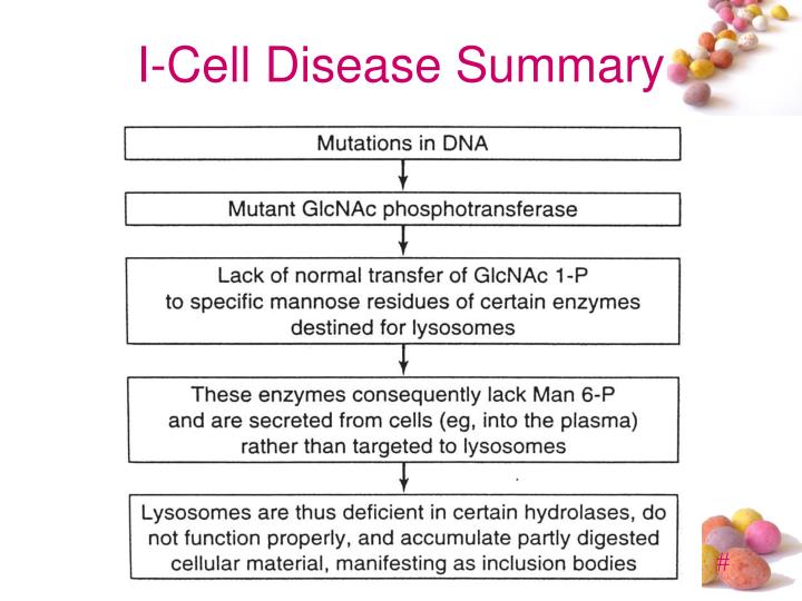 PPT - GLYCOPROTEINS PowerPoint Presentation - ID:4155658