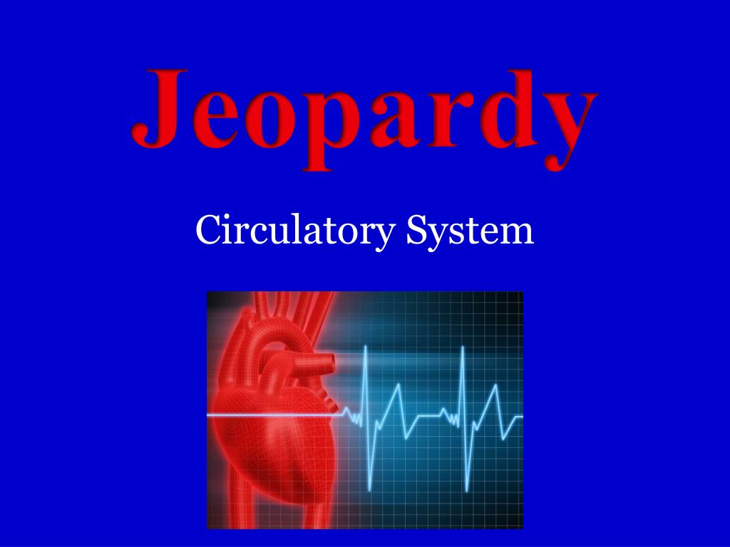 PPT - Circulatory System Basics for Beginners PowerPoint Presentation ...