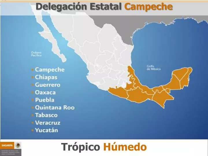 PPT - Trópico Húmedo PowerPoint Presentation, free download - ID:4157669