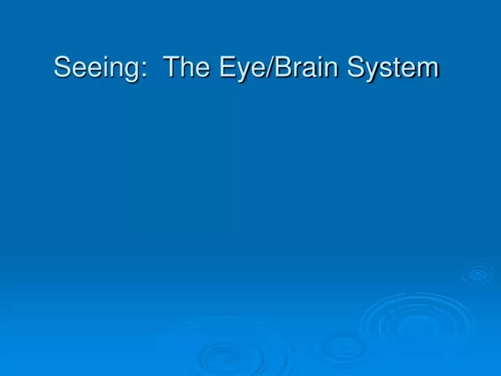 PPT - Seeing: The Eye/Brain System PowerPoint Presentation, free ...