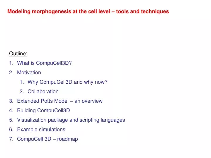 PPT - Modeling morphogenesis at the cell level – tools and techniques ...