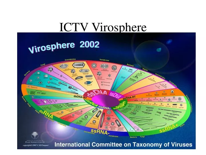 PPT - ICTV Virosphere PowerPoint Presentation, free download - ID:4160246