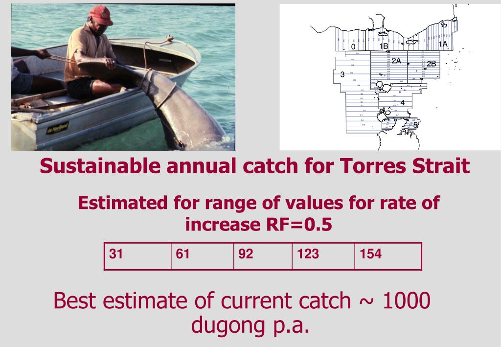 PPT - Evidence that the dugong harvest in Torres Strait is too high to ...