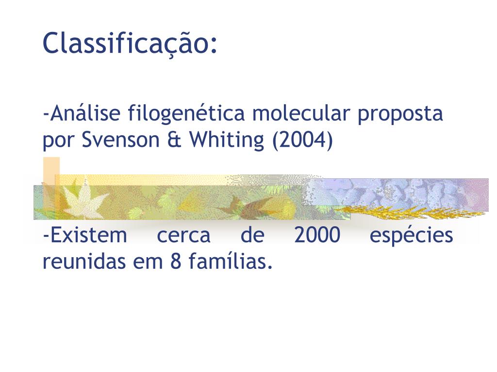 PPT - MANTODEA Burmeister, 1838 Grace Schaeffer Mattos Turma 120 ...