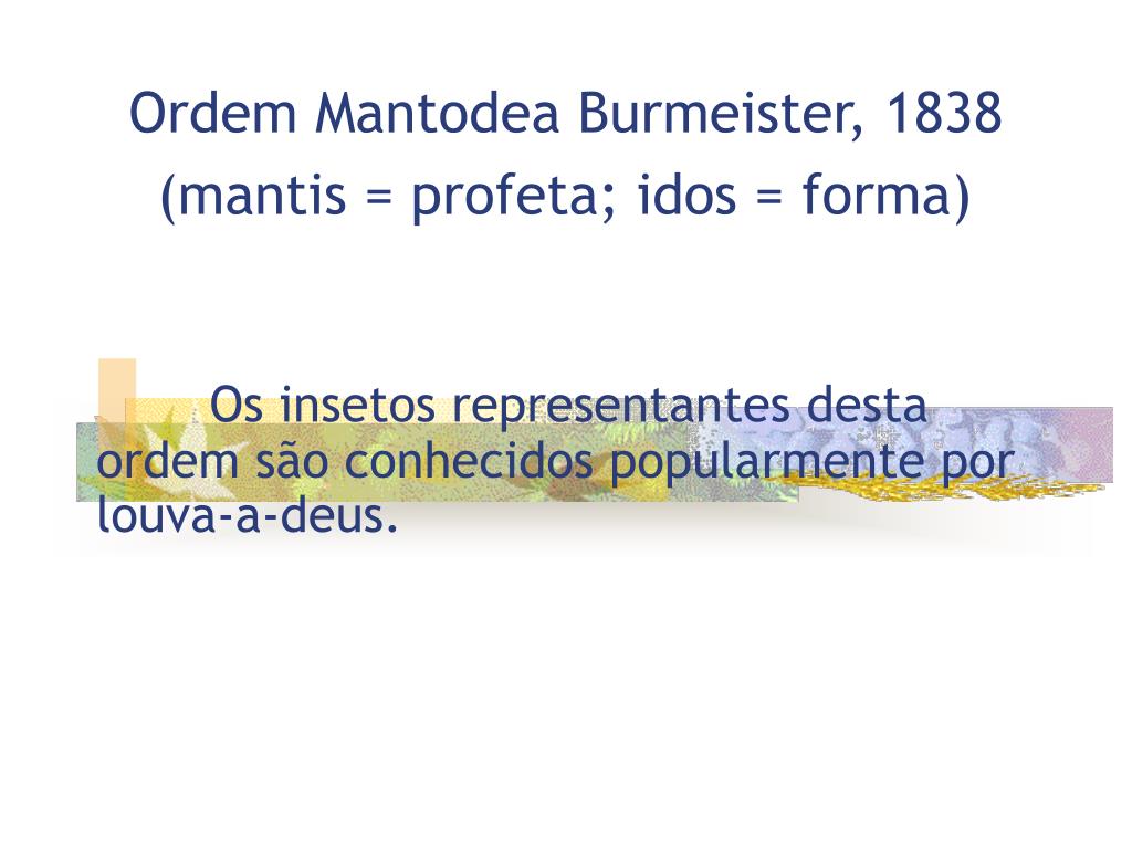 PPT - MANTODEA Burmeister, 1838 Grace Schaeffer Mattos Turma 120 ...