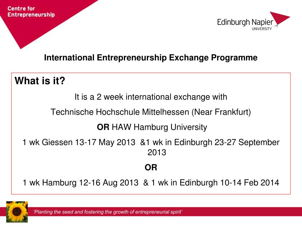 PPT - International Entrepreneurship Exchange Programme (IEEP ...