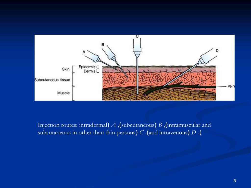 PPT - Fundamental Nursing Chapter 34 Parenteral Medications PowerPoint ...