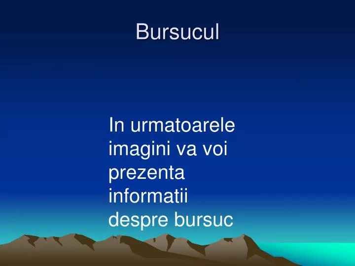 PPT - Bursucul PowerPoint Presentation, free download - ID:4163938