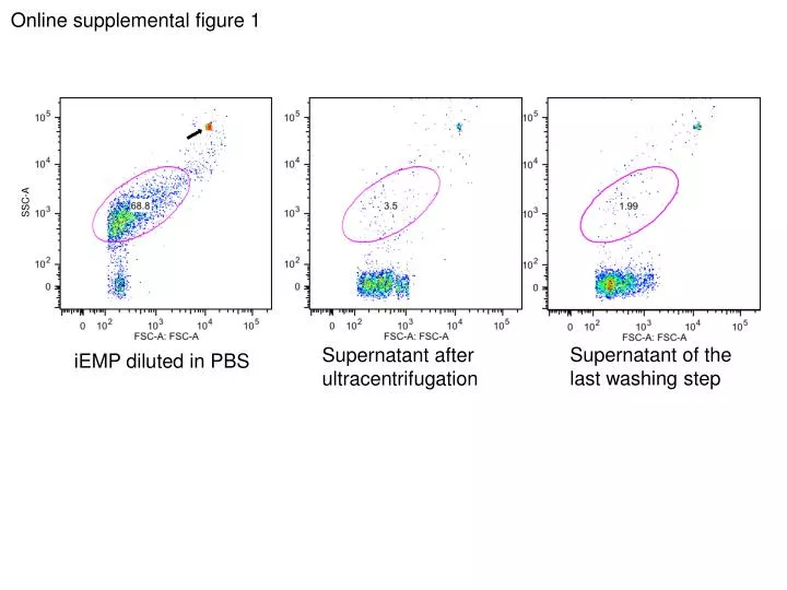 PPT - iEMP diluted in PBS PowerPoint Presentation, free download - ID ...