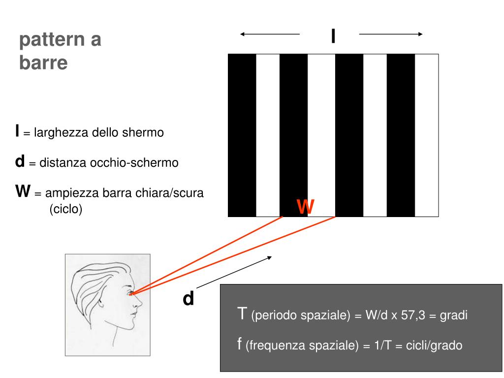 PPT - Potenziali Evocati Visivi (PEV) PowerPoint Presentation, free ...