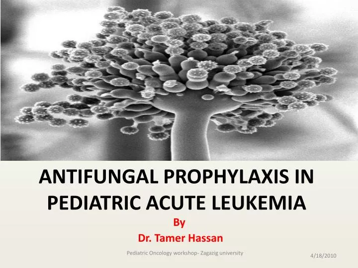PPT - ANTIFUNGAL PROPHYLAXIS IN PEDIATRIC ACUTE LEUKEMIA PowerPoint ...