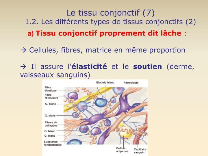 PPT - LES TISSUS DE L’ORGANISME PowerPoint Presentation - ID:4167407