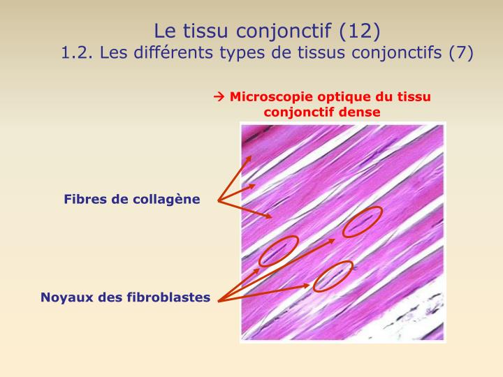 PPT - LES TISSUS DE L’ORGANISME PowerPoint Presentation - ID:4167407