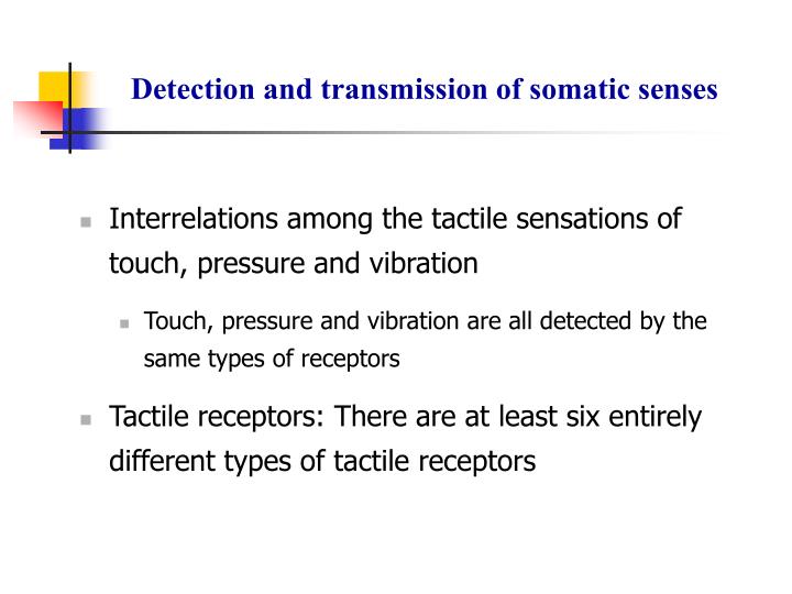 PPT - Somatic Sensations I General Organization, the Tactile and ...
