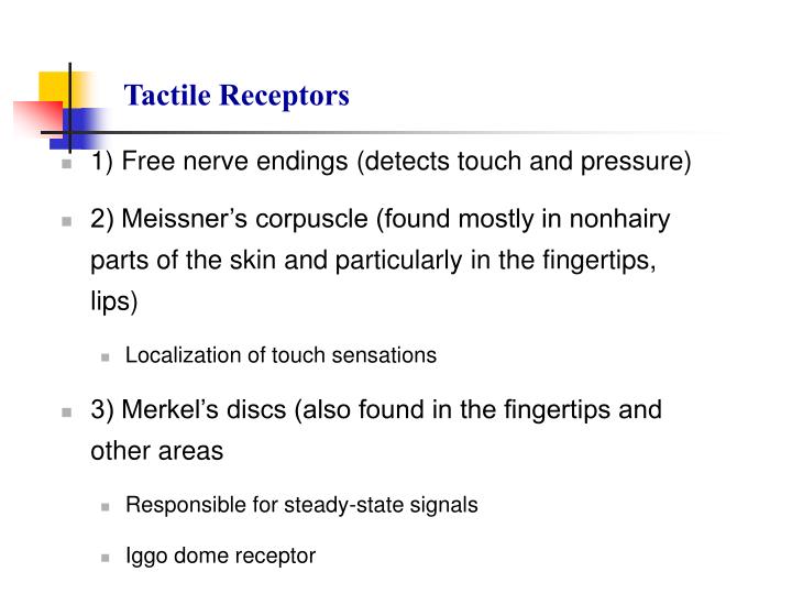 PPT - Somatic Sensations I General Organization, the Tactile and ...