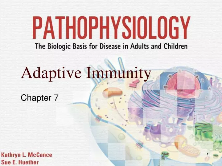 PPT - Adaptive Immunity PowerPoint Presentation, free download - ID:4167571