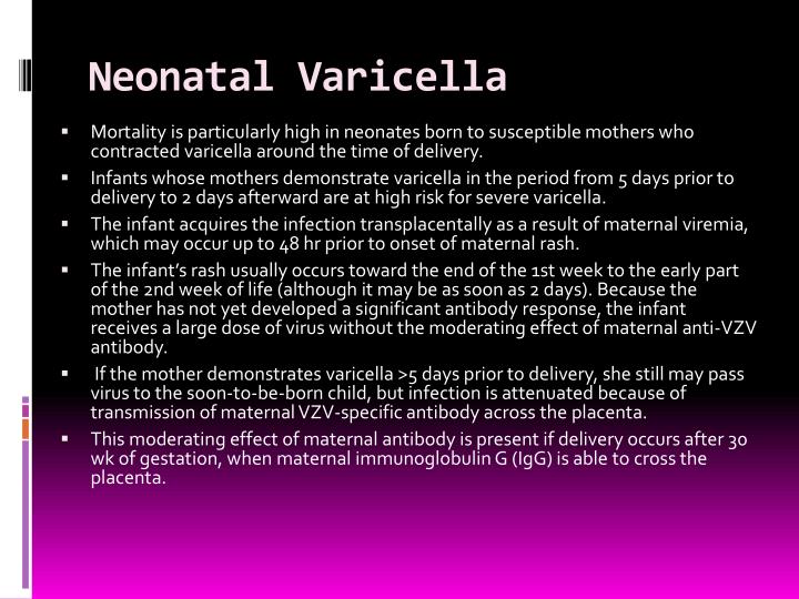 PPT - Varicella -zoster virus PowerPoint Presentation - ID:4168209