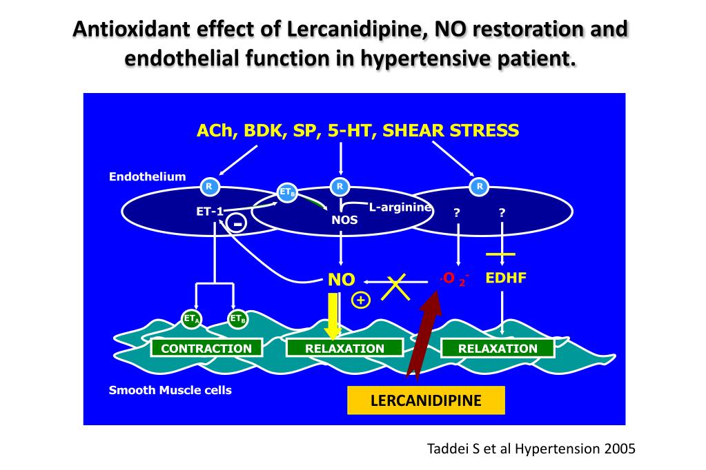 PPT - The role of lercanidipine in the treatment of hypertension: Blood ...