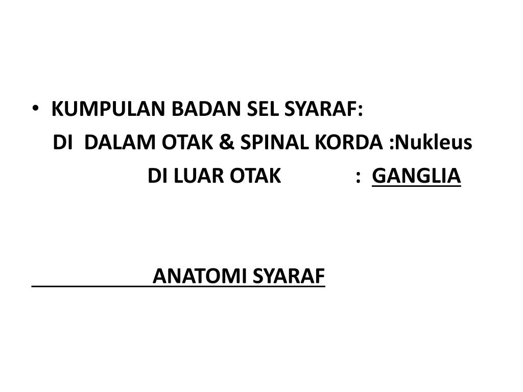 PPT - SISTEM SYARAF PowerPoint Presentation, free download - ID:4169992