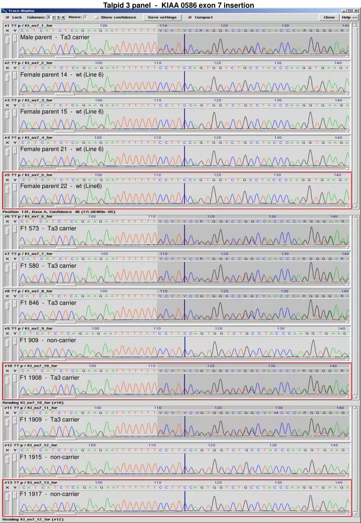 PPT - Talpid 3 panel - KIAA 0586 exon 7 insertion PowerPoint ...
