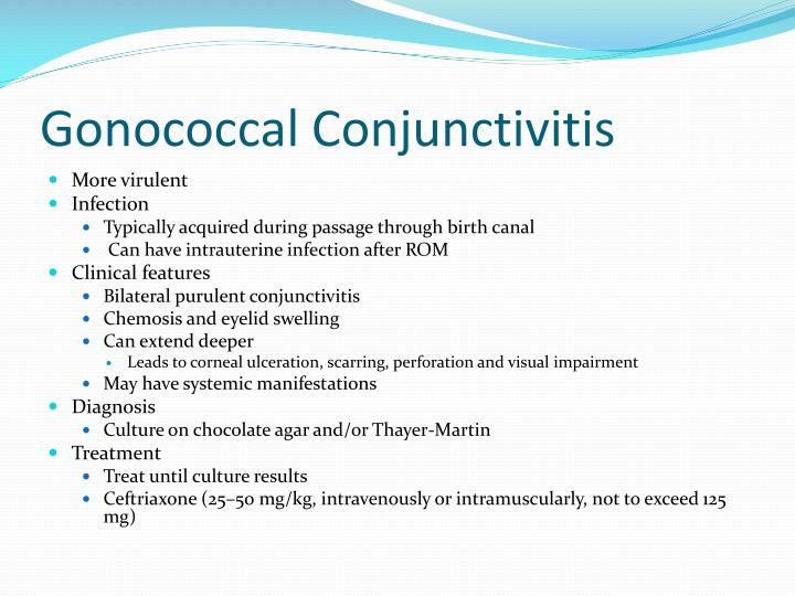 PPT - Neontal Conjunctivitis PowerPoint Presentation - ID:4172749