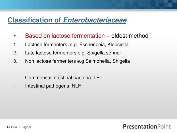PPT - Enterobacteriaceae PowerPoint Presentation - ID:4172780