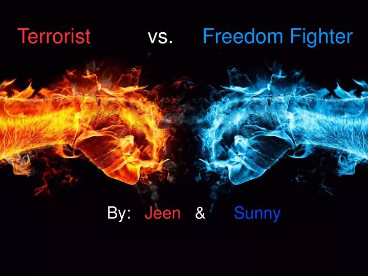 PPT - Terrorist vs. Freedom Fighter PowerPoint Presentation, free ...