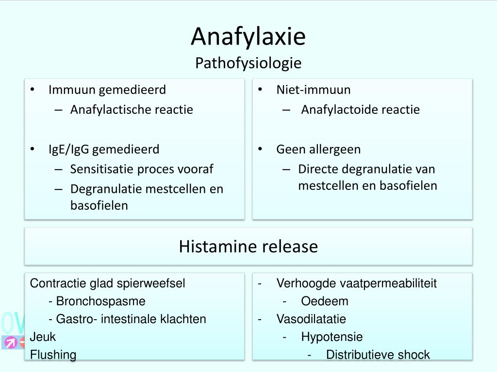 PPT - Anafylaxie en gezwollen lippen, ook adrenaline voor de huisarts ...