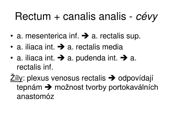 PPT - Jícen Oesophagus PowerPoint Presentation - ID:4173879