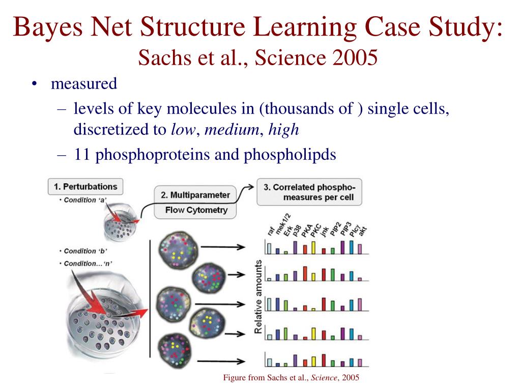 PPT - Learning Bayesian Networks for Cellular Networks PowerPoint ... PPT - Learning Bayesian Networks for Cellular Networks PowerPoint ...
