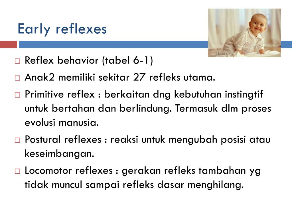 PPT - Psikologi Perkembangan 1 14 Maret 2013 PowerPoint Presentation ...