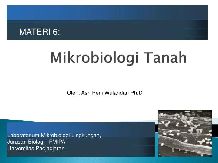 PPT - Mikrobiologi Tanah PowerPoint Presentation, free download - ID ...