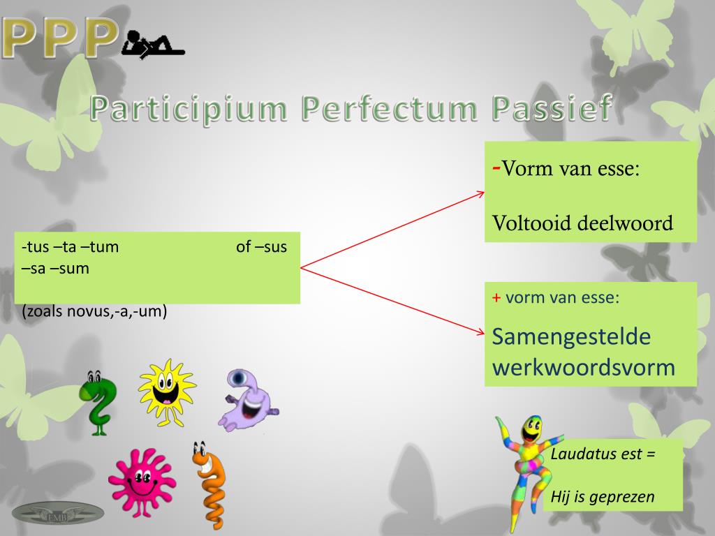 PPT - LL 13: Grammatica Perfectum Passivum en PPP PowerPoint ...