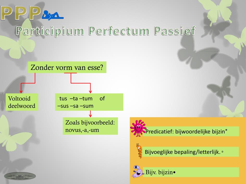 PPT - LL 13: Grammatica Perfectum Passivum en PPP PowerPoint ...