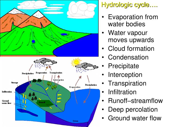 PPT - TOPIC 1 BASIC OF HYDROLOGY PowerPoint Presentation - ID:4180649