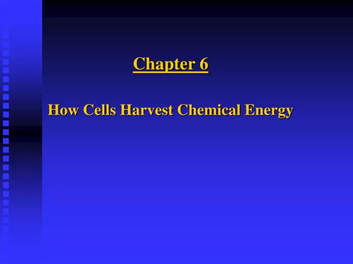 PPT - Chapter 6 How Cells Harvest Chemical Energy PowerPoint ...