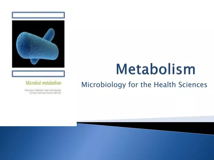 PPT - Metabolism PowerPoint Presentation, free download - ID:4181031