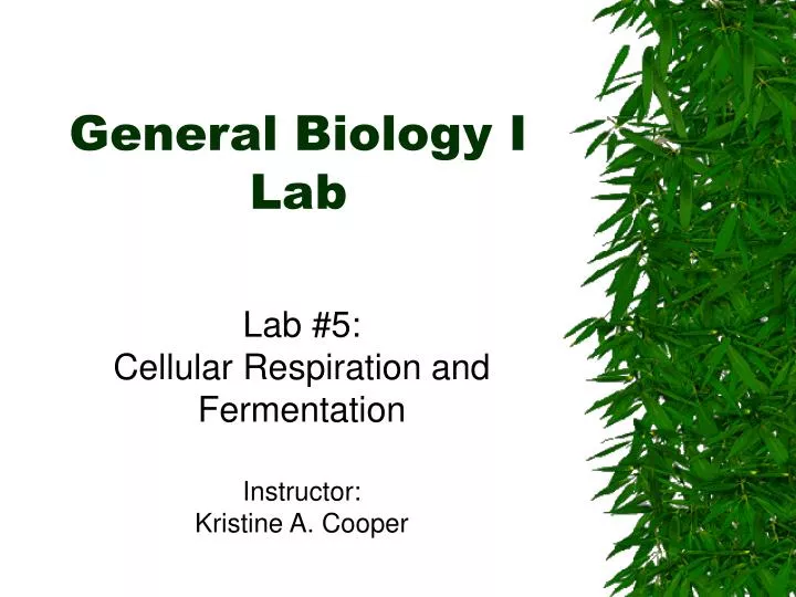PPT - General Biology I Lab PowerPoint Presentation, free download - ID ...