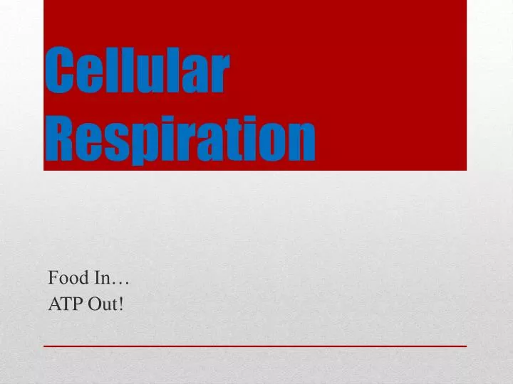 PPT - Cellular Respiration PowerPoint Presentation, free download - ID ...