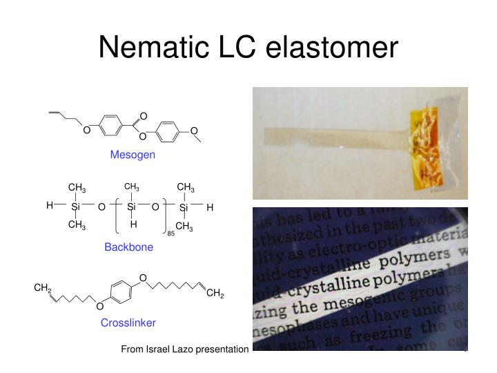 PPT - Measuring Refractive Indices of Nematic LC Elastomers PowerPoint ...