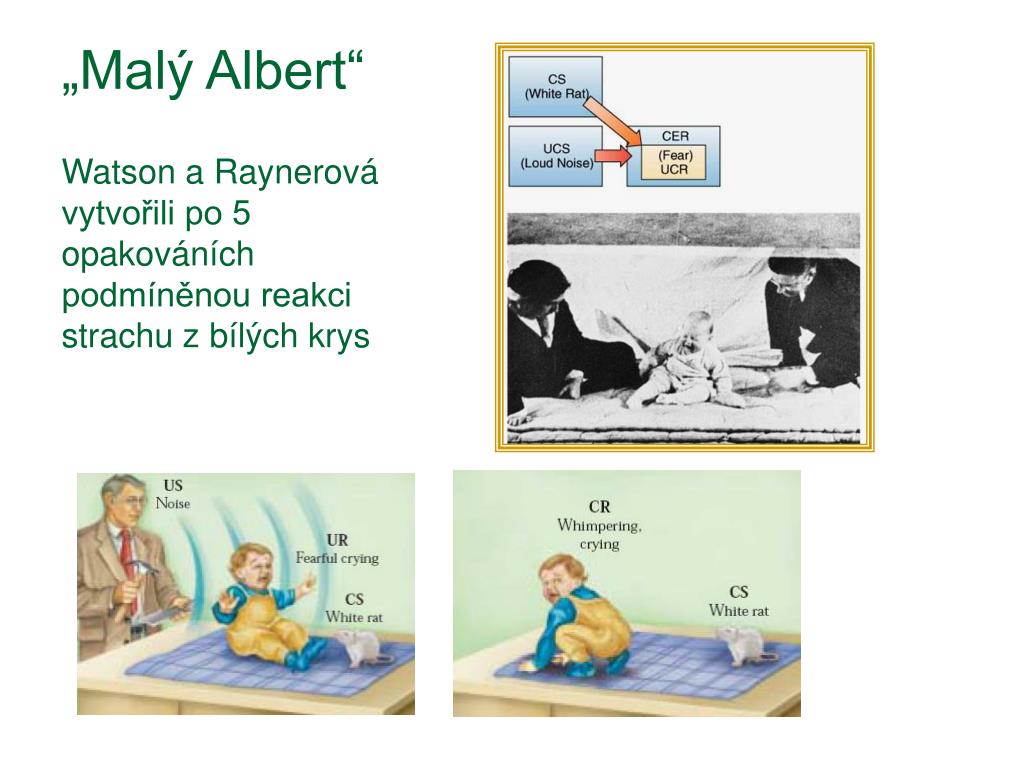 PPT - 6 . Učení PowerPoint Presentation, free download - ID:4183690