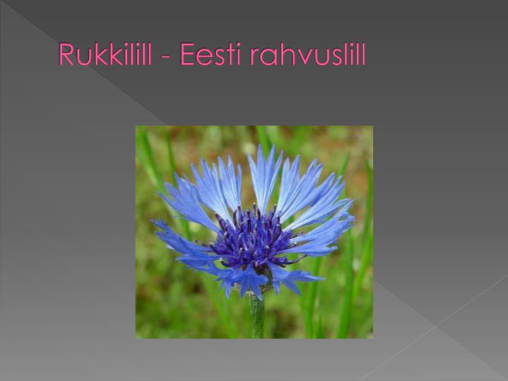 PPT - Eesti PowerPoint Presentation - ID:4184259