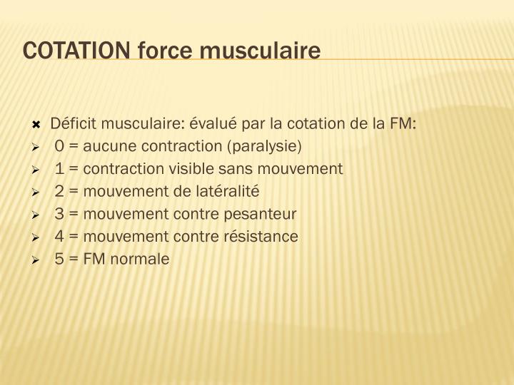 PPT - SYNDROMES TOPOGRAPHIQUES MEDULLAIRES PowerPoint Presentation - ID ...